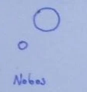 Meiox | Creativity Wiki | Fandom