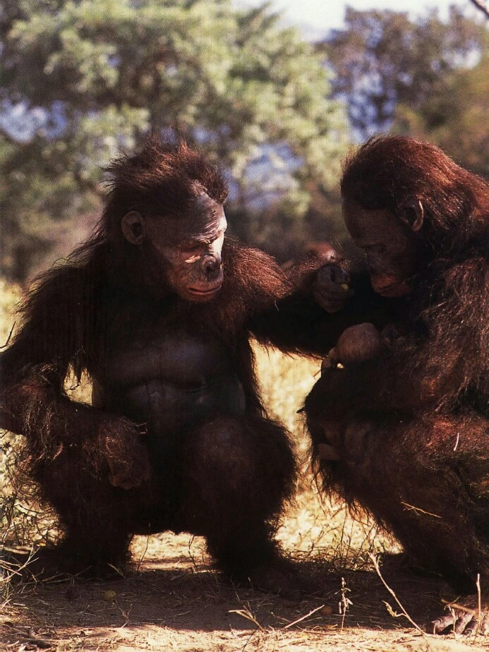 Chimpman | Creativity Wiki | Fandom