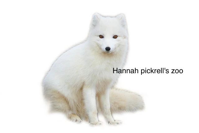 Hannah Pickrell's zoo | Creativity Wiki | Fandom