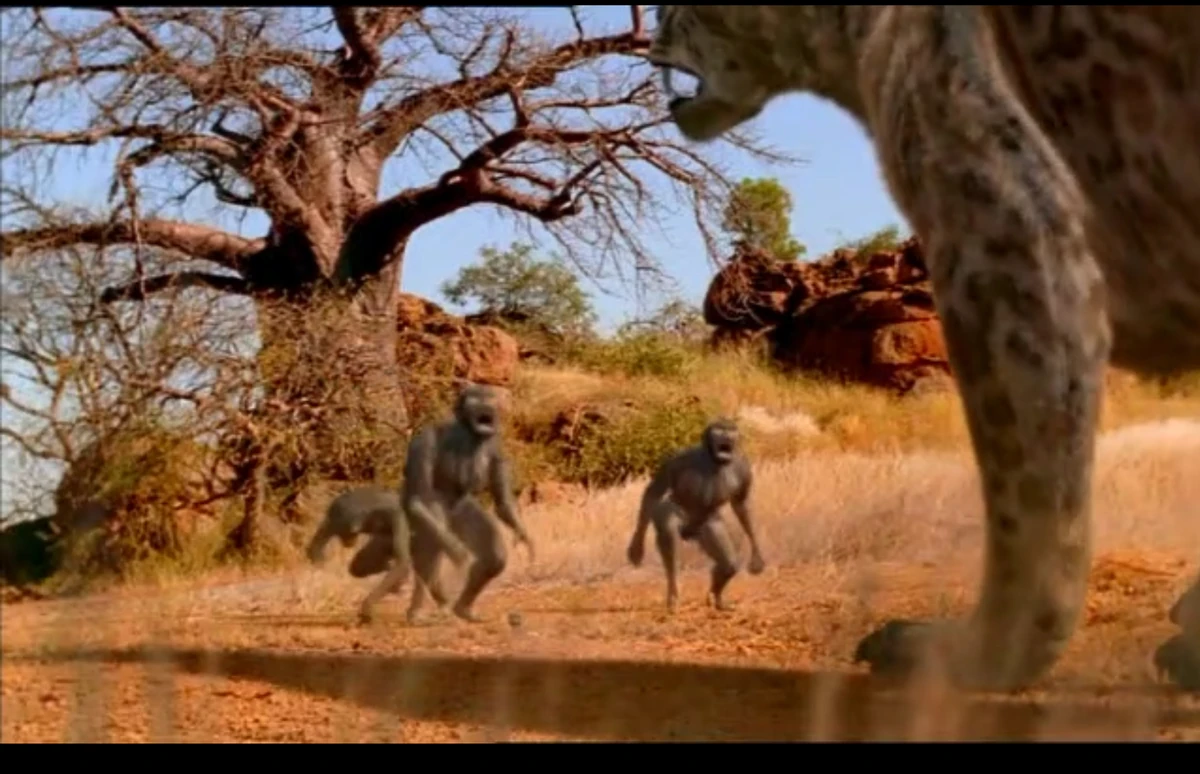 Australopithecus (Walking With) | Creativity Wiki | Fandom
