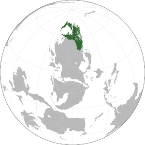 Lynga | Wiki Creatumundo | Fandom