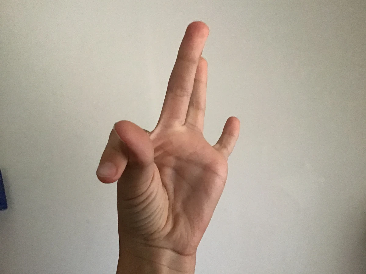 Lea | Creature Family Wiki | Fandom