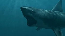Red Dog | Creature Features Wiki | Fandom