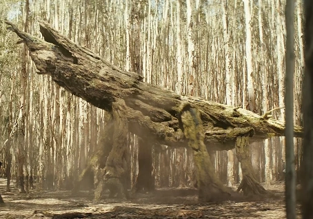 Spore Mantis | Creature Features Wiki | Fandom