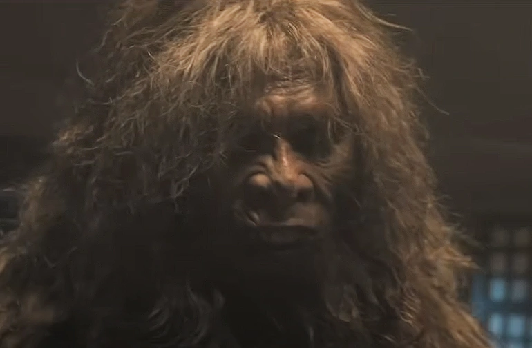 Forest Person | Creature Features Wiki | Fandom