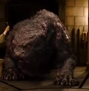 Chorung | Creature Features Wiki | Fandom