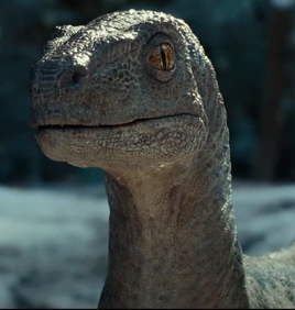 Beta | Creature Features Wiki | Fandom