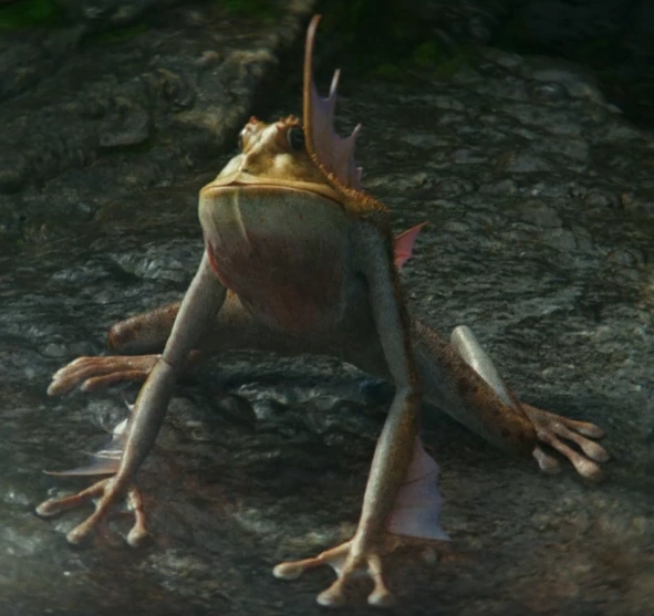 Parrot Frog | Creature Features Wiki | Fandom