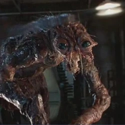 Brundlefly | Creature Features Wiki | Fandom