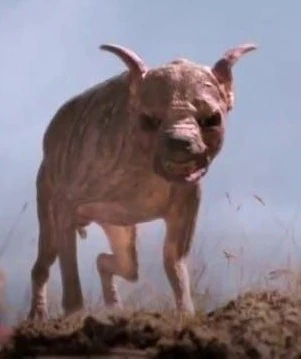 Alamo Chupacabras | Creature Features Wiki | Fandom