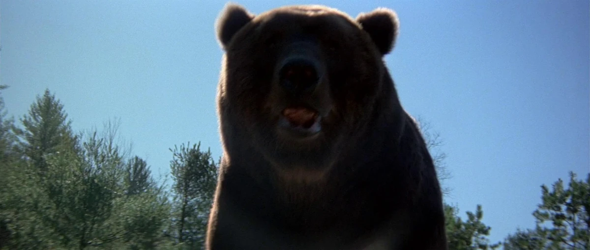 Short-Faced Grizzly | Creature Features Wiki | Fandom