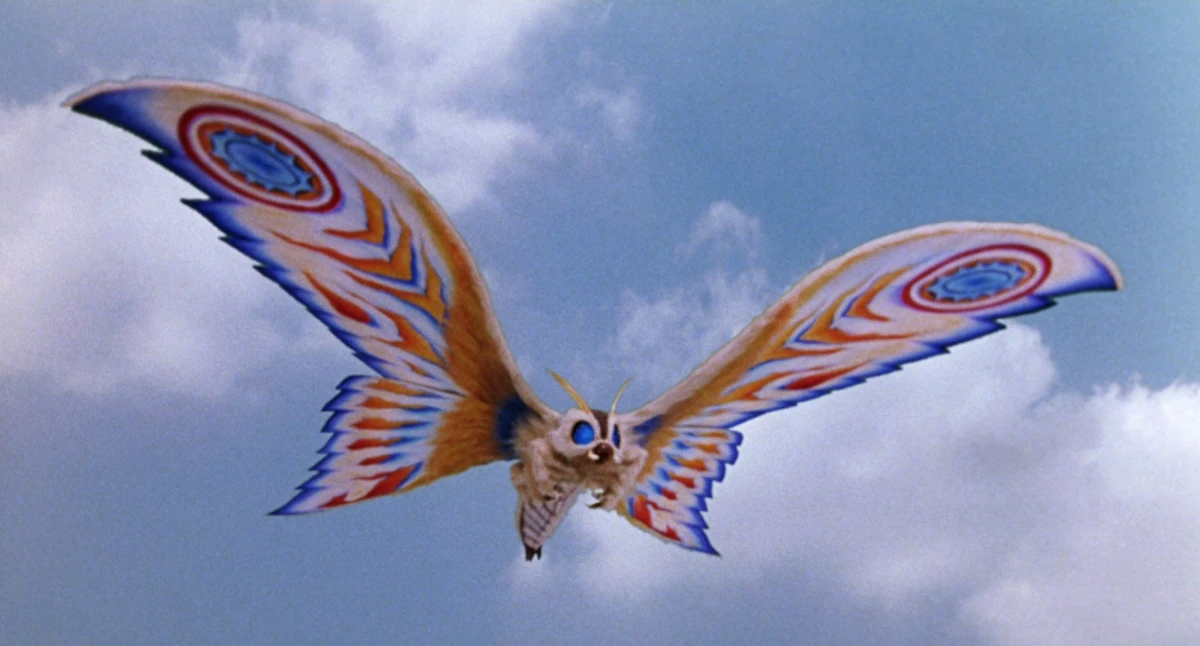 Category:Insects | Creature Features Wiki | Fandom