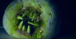 Killer Donuts | Creature Features Wiki | Fandom