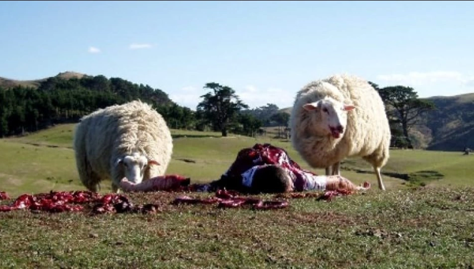 Zombie Sheep | Creature Features Wiki | Fandom