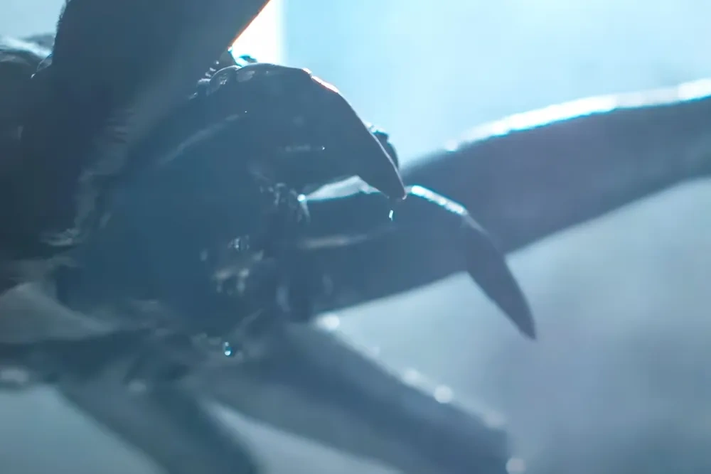 Category:2024 Debuts | Creature Features Wiki | Fandom