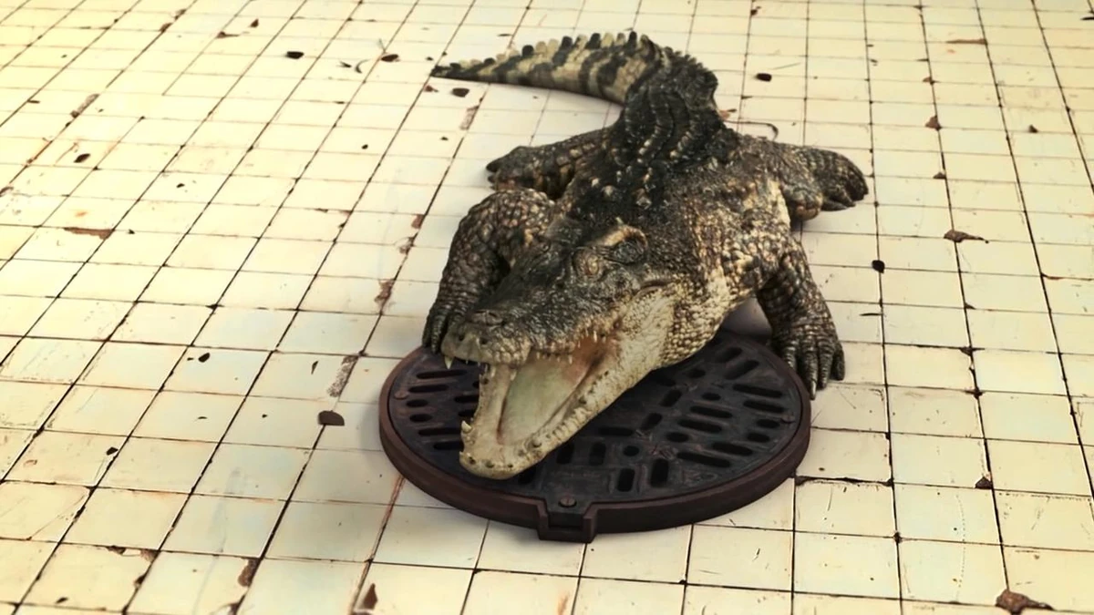 Pool Crocodile | Creature Features Wiki | Fandom