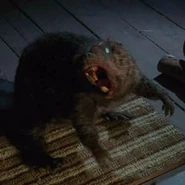 Zombeavers | Creature Features Wiki | Fandom