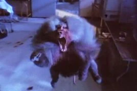 Shakma | Creature Features Wiki | Fandom