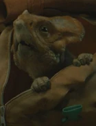 Dolores | Creature Features Wiki | Fandom