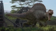 Asset 87 | Creature Features Wiki | Fandom