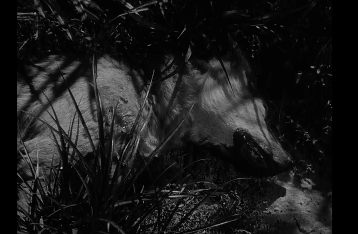 Chris | Creature from the Black Lagoon Wiki | Fandom