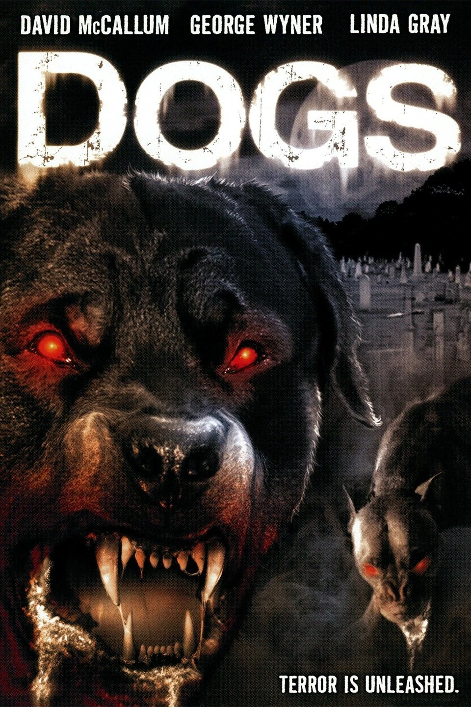 Are Rottweilers Devil Dogs