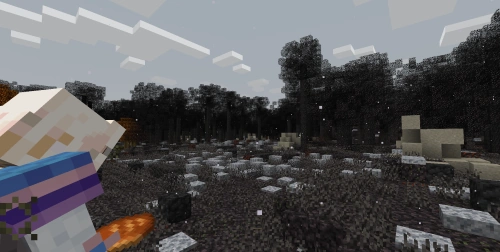 Radiation | Creature Craft SMP Wiki | Fandom