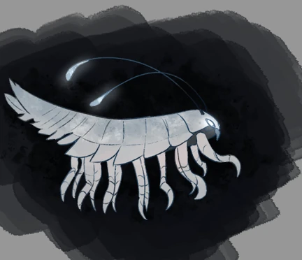 The Moon | Creature Craft SMP Wiki | Fandom