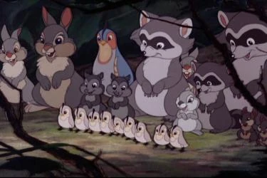 Category:Animal species | Creatures and Species Wikia | Fandom