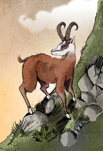 Les Dahus | Wiki Créatures fantastiques | Fandom