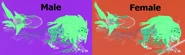 Stratifelis | Creatures of Sonaria Wiki | Fandom