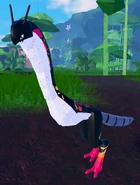 Momola | Creatures of Sonaria Wiki | Fandom