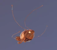 Flipli | Creatures of Sonaria Wiki | Fandom