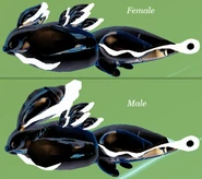 Nemni | Creatures of Sonaria Wiki | Fandom