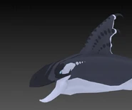 Magnacetus | Creatures of Sonaria Wiki | Fandom