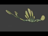 Fernifly | Creatures of Sonaria Wiki | Fandom