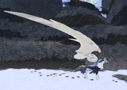 Moluna | Creatures of Sonaria Wiki | Fandom