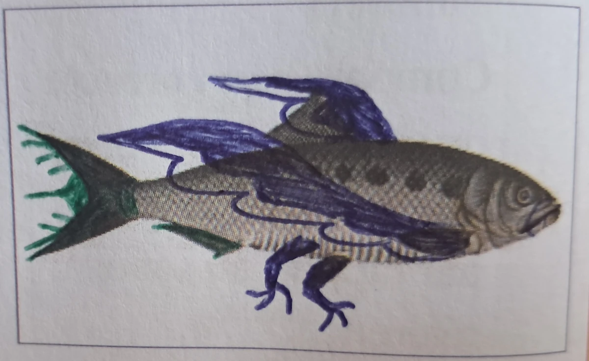 Upland Trout | Creatures of myth Wiki | Fandom