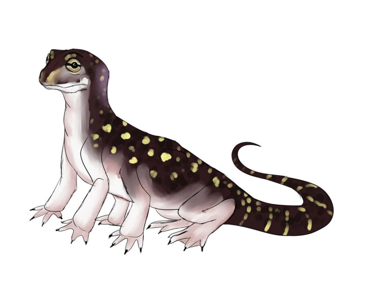 Whowie | Creatures of myth Wiki | Fandom