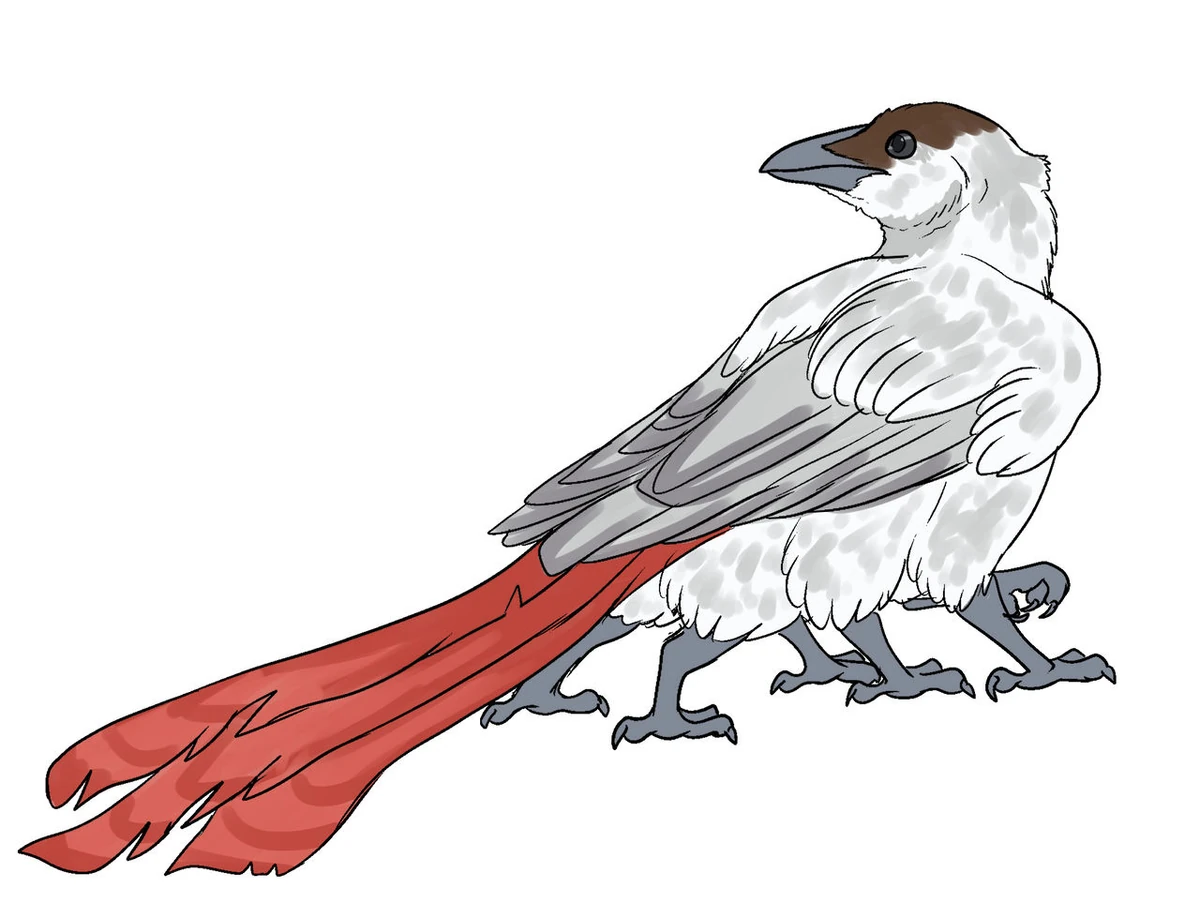 Fen Bird | Creatures of myth Wiki | Fandom