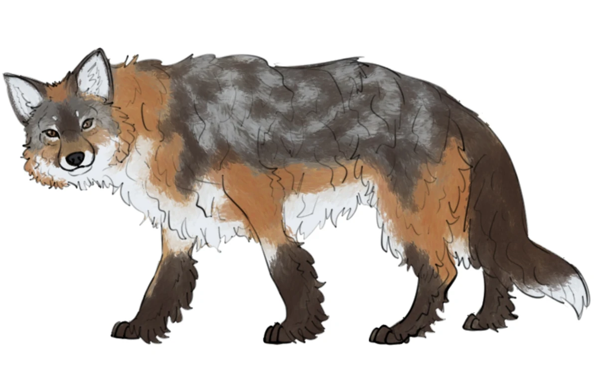 Papiones | Creatures of myth Wiki | Fandom