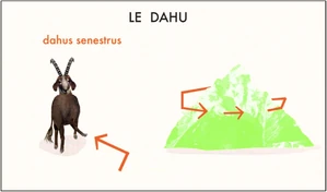 Levogyre Dahu | Creatures of myth Wiki | Fandom