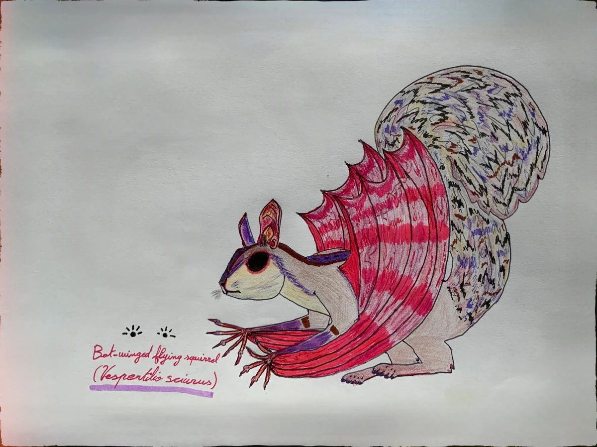 Bat-winged flying squirrel | Creatures of myth Wiki | Fandom