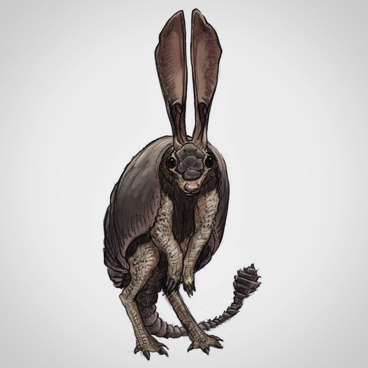 Ayotochtli | Creatures of myth Wiki | Fandom