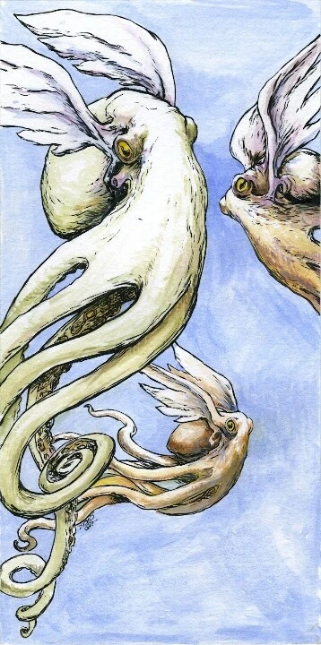 Pteroctopus | Creatures of myth Wiki | Fandom