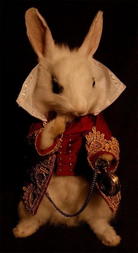 White Rabbit | Creatures of myth Wiki | Fandom