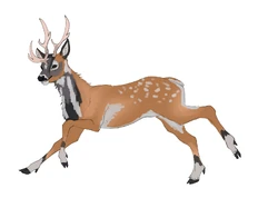 Samgakrok | Creatures of myth Wiki | Fandom