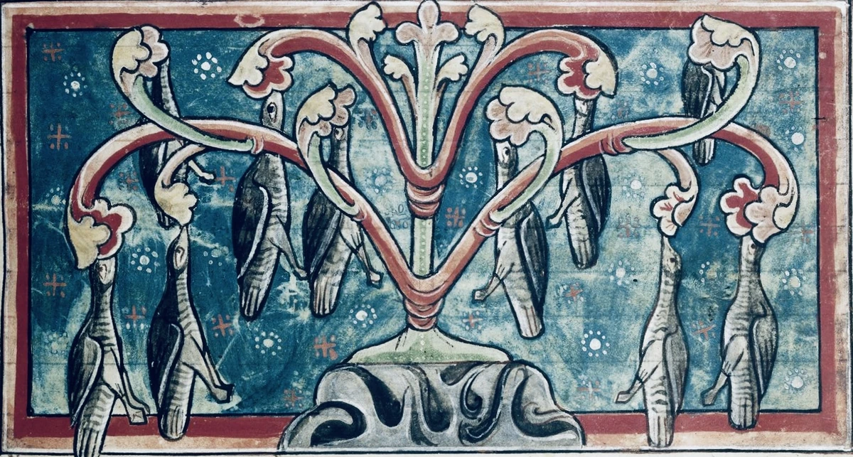 Barnacle Goose | Creatures of myth Wiki | Fandom