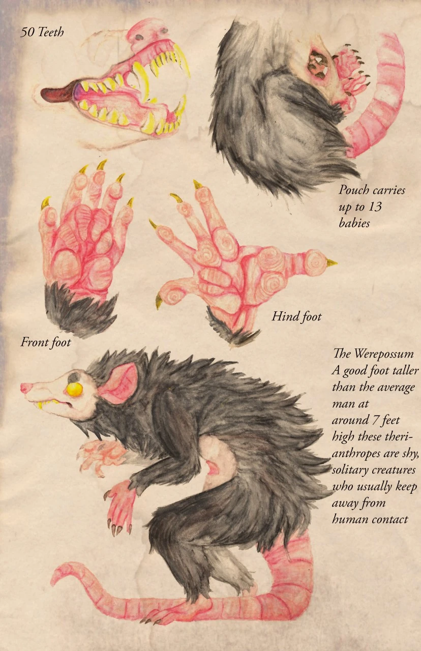 Didelphanthrope | Creatures of myth Wiki | Fandom