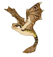 Llamhigyn Y Dwr | Creatures of myth Wiki | Fandom